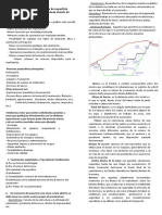 Banco, Berma, Talud Final, Talud | PDF | Minería | Material explosivo