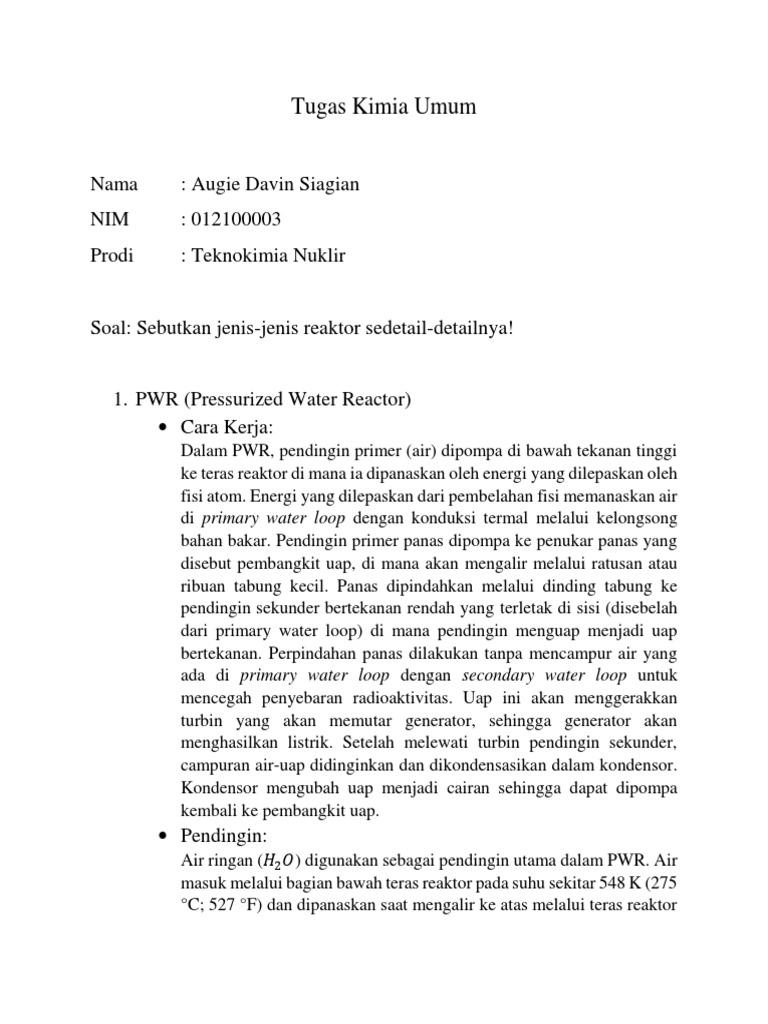 Jenis-Jenis Reaktor Nuklir PWR | PDF | Teknologi & Rekayasa