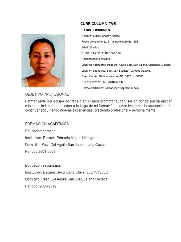 Curriculum Vitae Judith | PDF