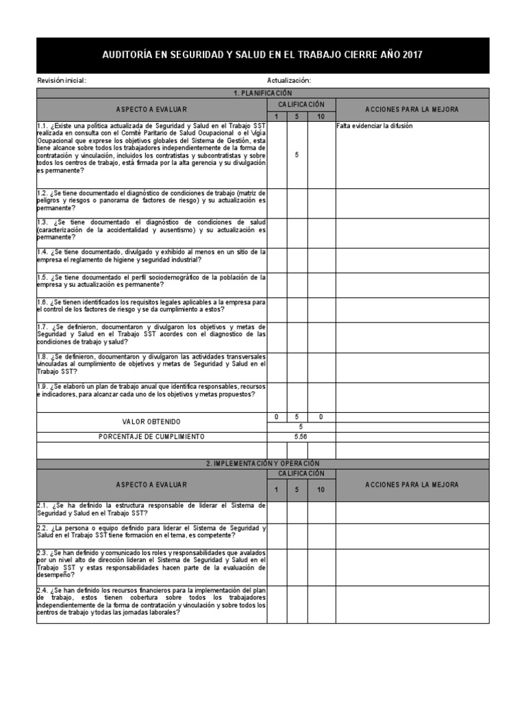 Formato Auditoria Seguridad Salud en El Trabajo | PDF | Seguridad y salud ocupacional | Salud ...
