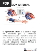 Proyecciones PA Y AP | PDF | Tórax (anatomía humana) | Anatomía