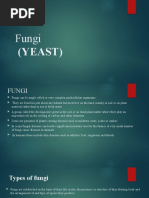 Classification of Yeast | PDF