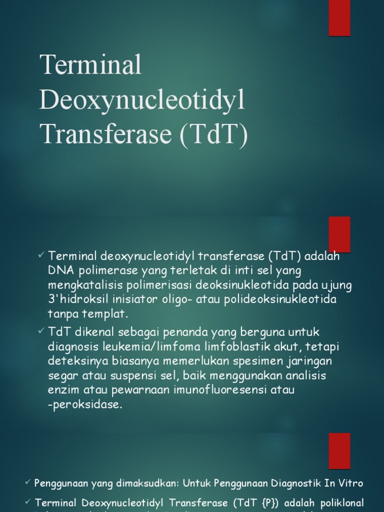 Terminal Deoxynucleotidyl Transferase (TDT) | PDF