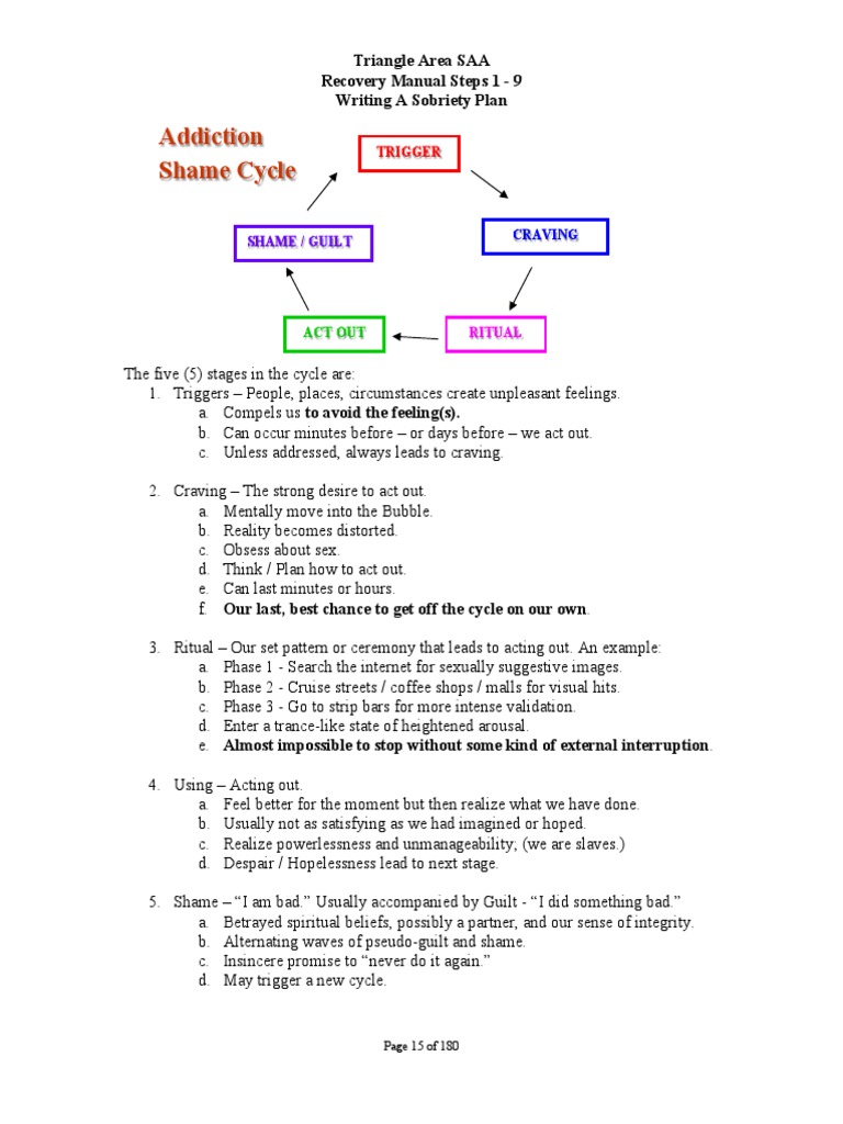 Addiction Shame Cycle: Triangle Area SAA Recovery Manual Steps 1 - 9 ...