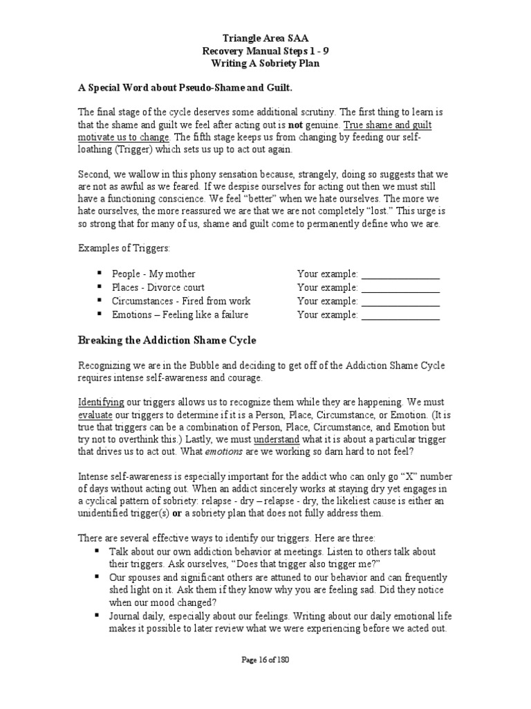 Triangle Area SAA Recovery Manual Steps 1 - 9 Writing A Sobriety Plan A ...