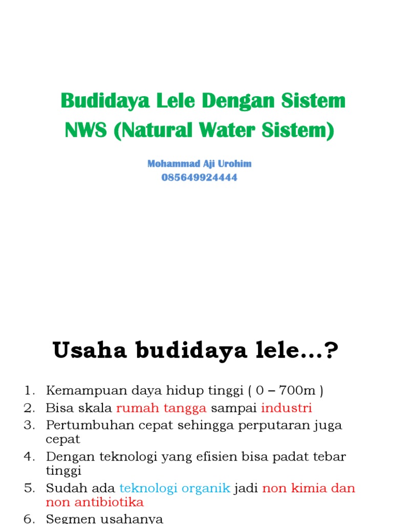 NWS 2021 Terbaru Aji | PDF