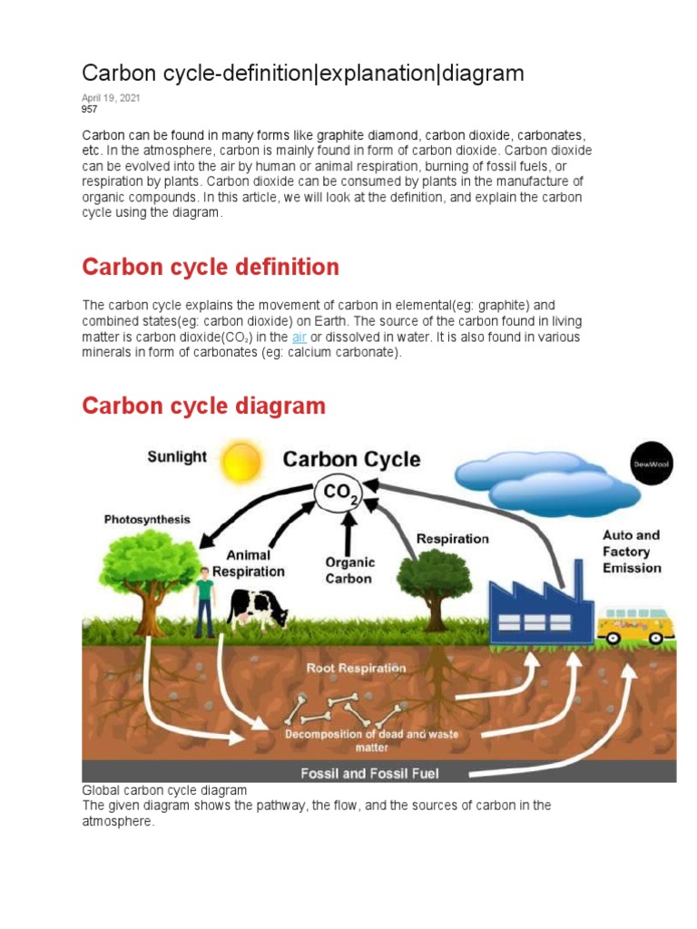 Carbon Cycle-Definition - Explanation - Diagram | Download Free PDF ...