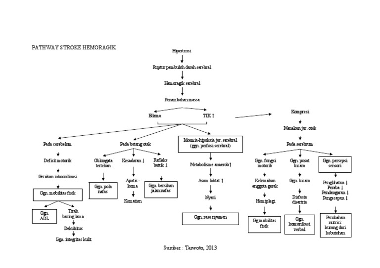 Pathway Stroke Hemoragik | PDF