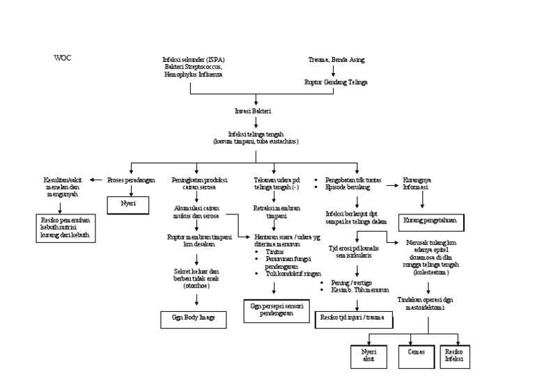 Woc Otitis Eksterna | PDF