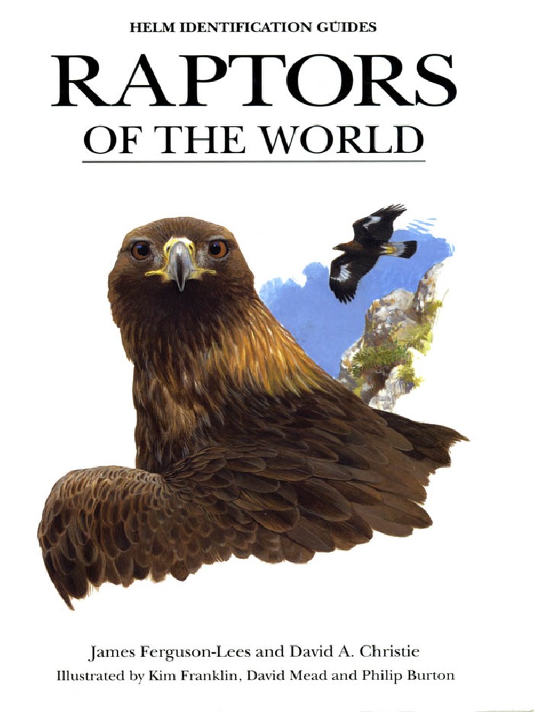 Raptors of The World | Download Free PDF | Holarctic Birds | Predators