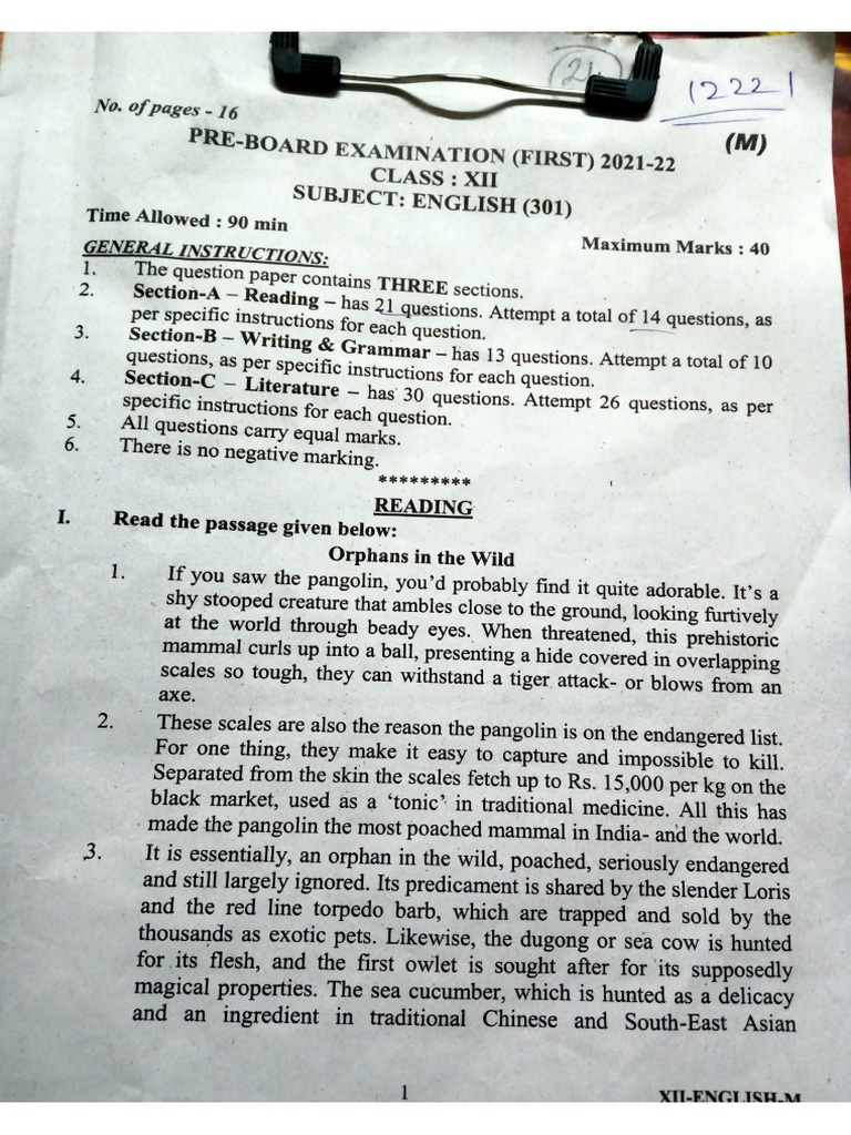 English Pre Baord | PDF