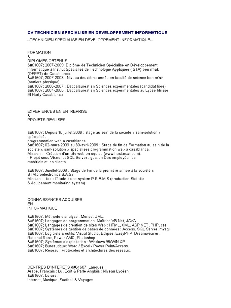 CV Technicien Développement Informatique | PDF | Ordinateurs