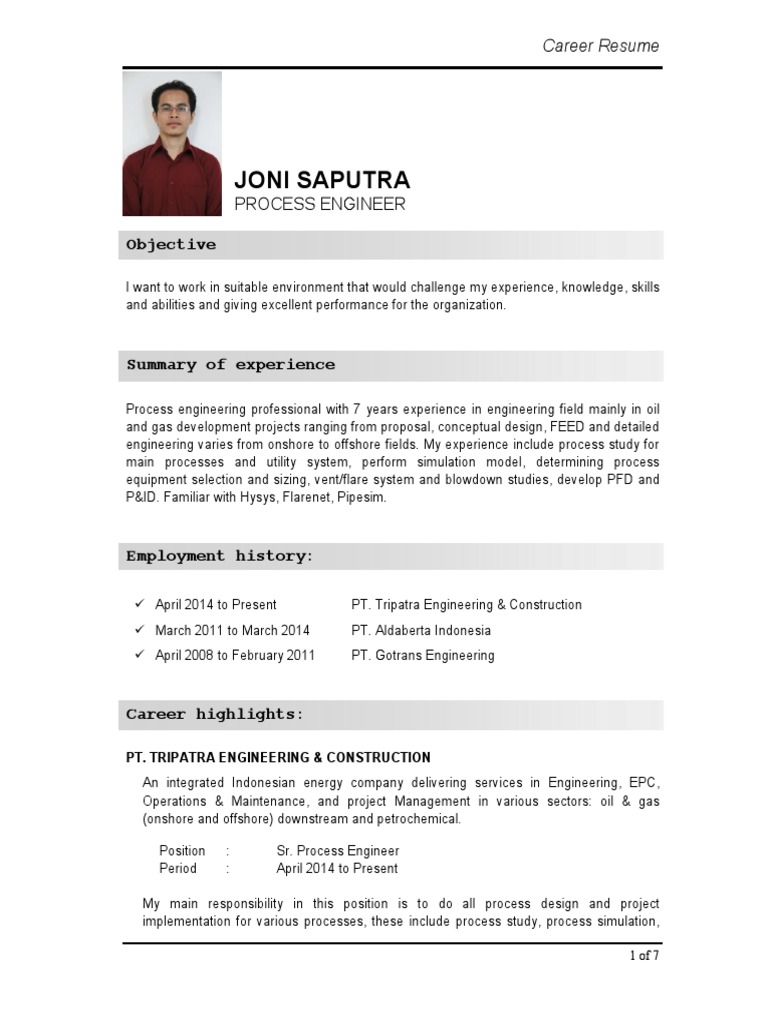 Joni Saputra - CV - Process Eng | PDF | Process Engineering | Simulation