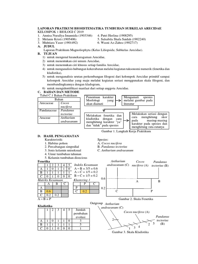 Kelompok 1 - Laporan Arecidae | PDF