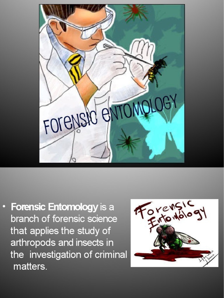 Forensic Entomology | PDF | Biology | Arthropods