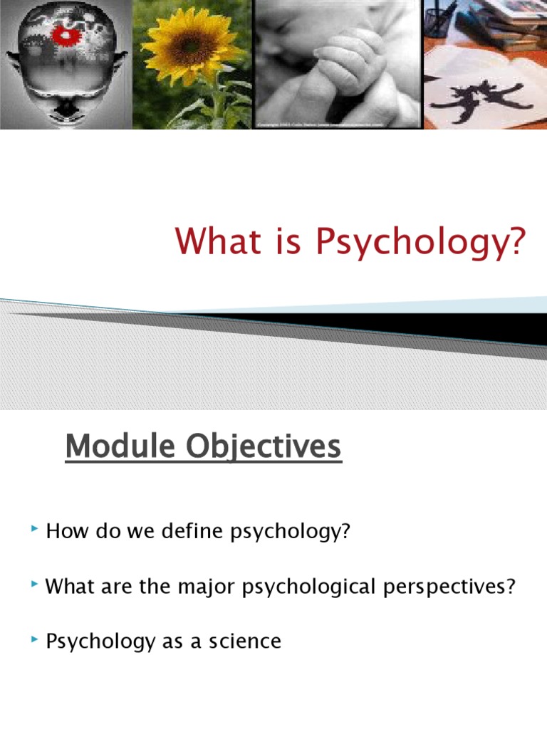 An Introduction to the Field of Psychology: Exploring the Scientific Study of Human Behavior and ...