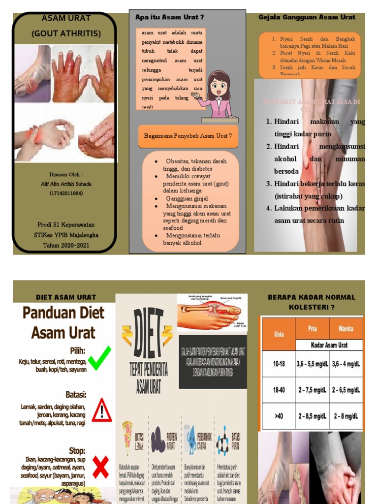 Leaflet Asam Urat | PDF