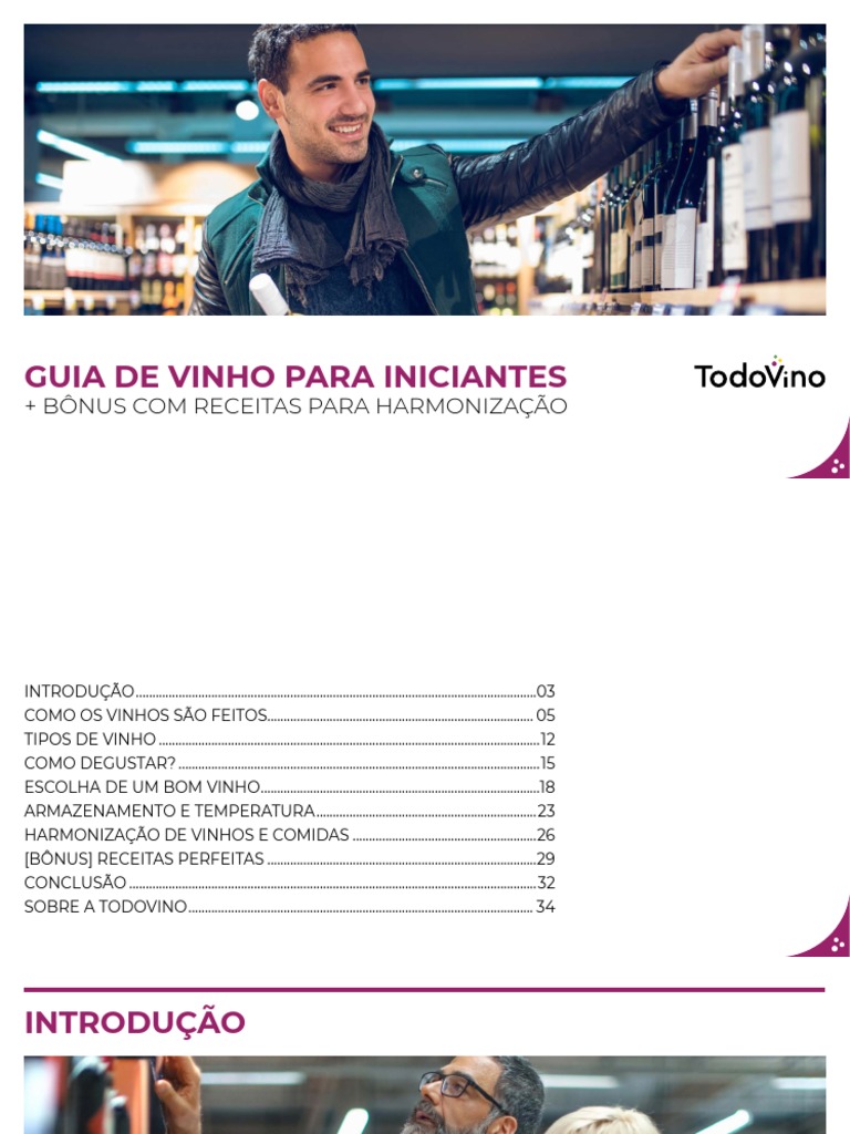 Guia De Vinhos Para Iniciantes By Todovino Pdf Vinhos Champanhe