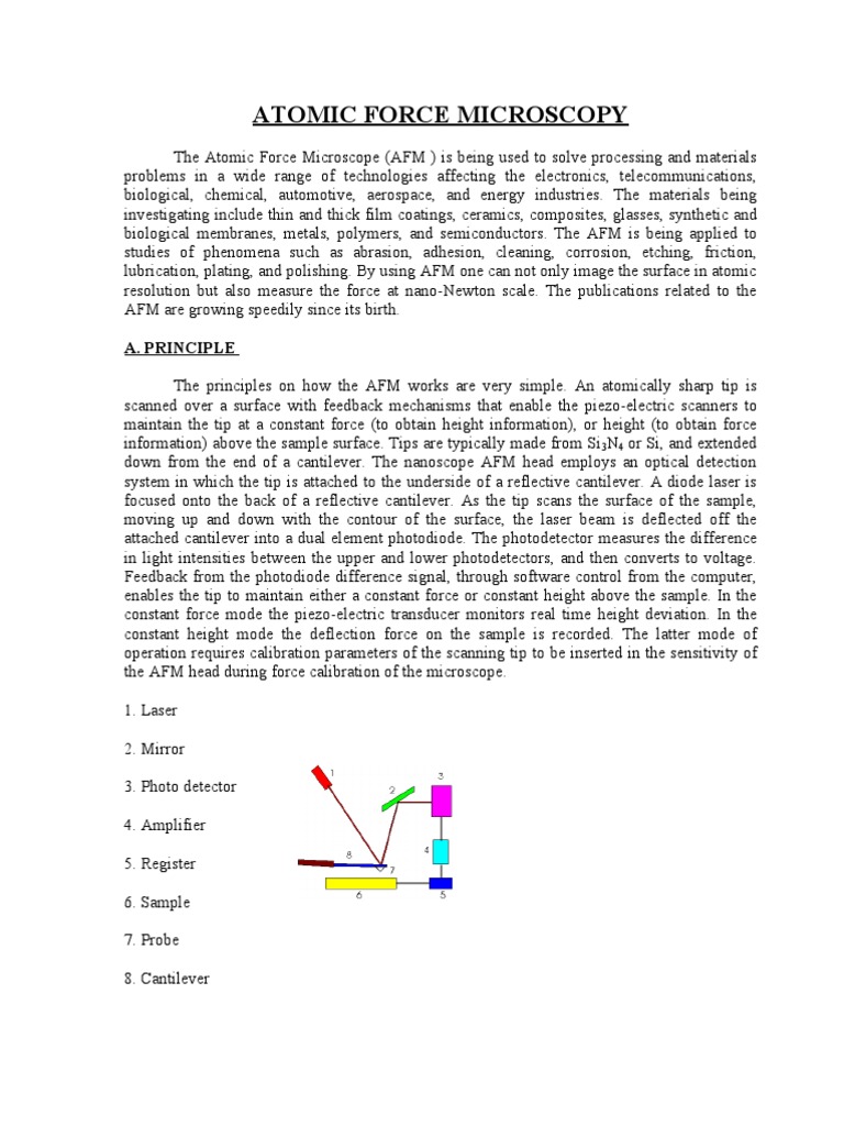 The Atomic Force Microscope 1 | PDF | Atomic Force Microscopy | Microscope