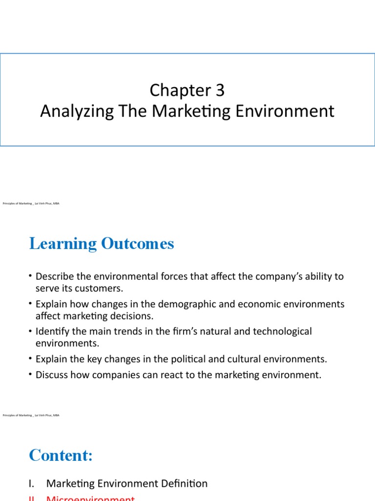 Marketing Environment Analysis | PDF | Marketing | Economies