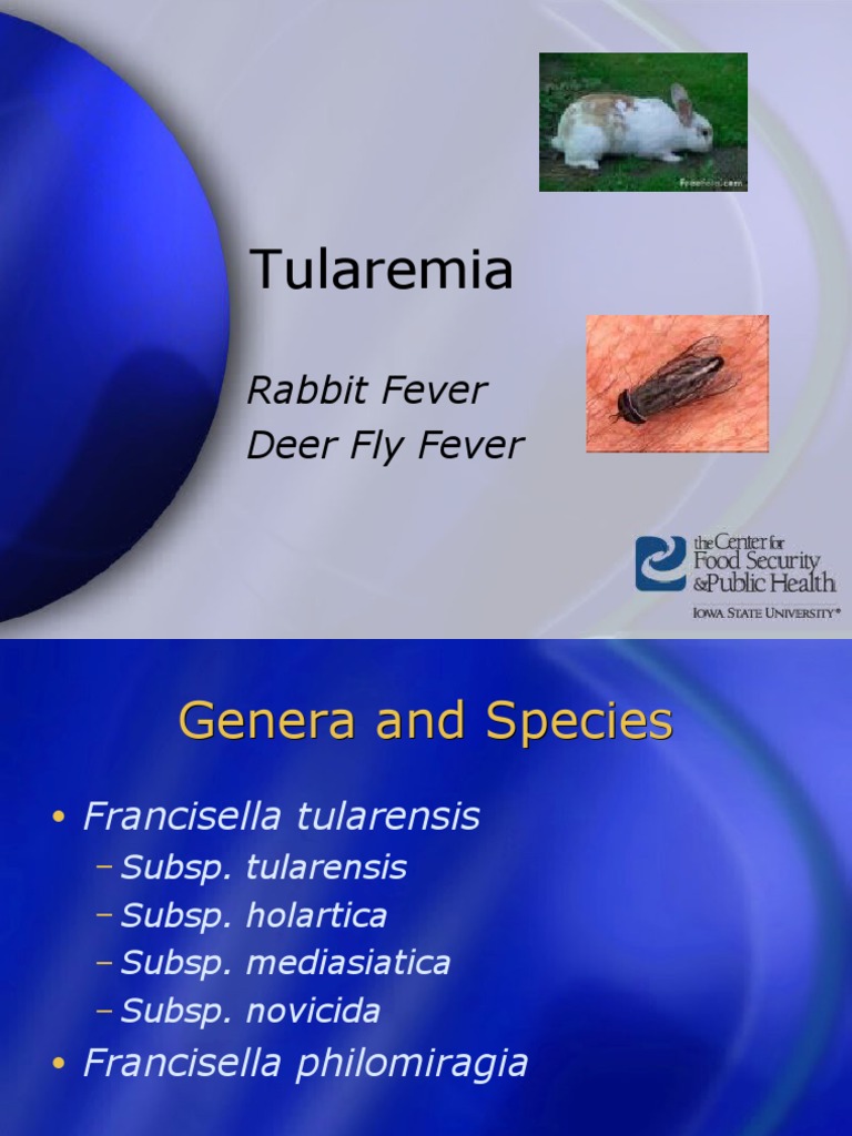 Tularemia: Rabbit Fever Deer Fly Fever | PDF | Food And Drink | Medical ...