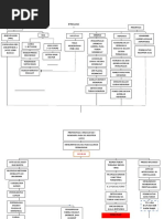 Pathway Persalinan Normal | PDF