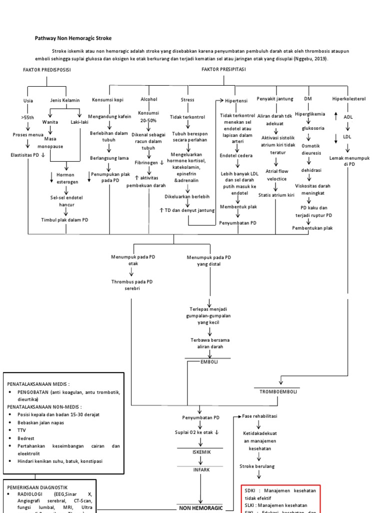Pathway Seminar Non Hemoragic Stroke | PDF
