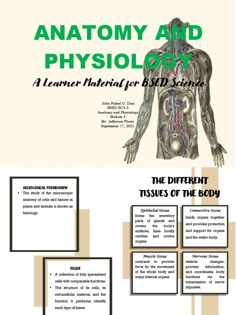 AP Module4 Trans Diaz | PDF | Epithelium | Connective Tissue