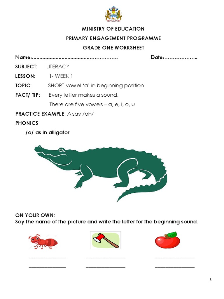 Grade 1 Literacy Week 1 Lesson 1 | PDF