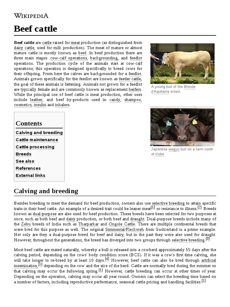 Beef Cattle | PDF | Livestock | Cattle