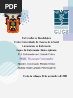 Nanda Nic Noc | PDF | Dolor | Cerebro