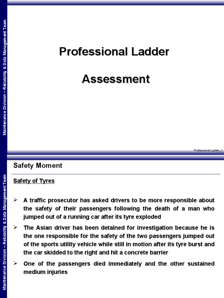 Professional Ladder | PDF | Tire | Reliability Engineering