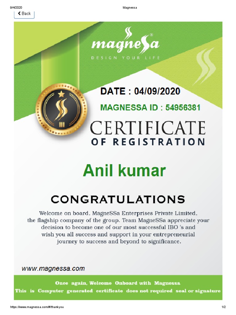 Magnessa | PDF