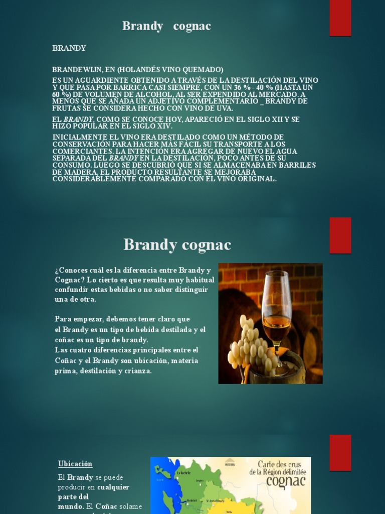 Brandy Cognac Cetpro Latinoamericano | PDF | brandy | Vino
