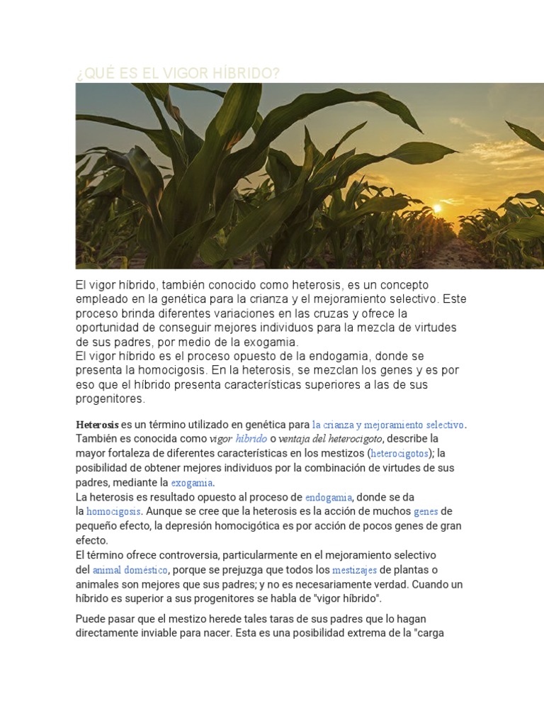 ¿Qué Es El Vigor Híbrido?: La Crianza y Mejoramiento Selectivo ...