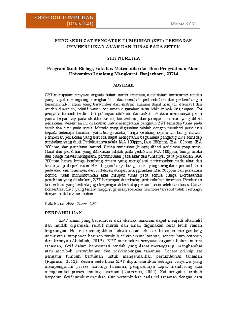 Laporan Fistum | PDF