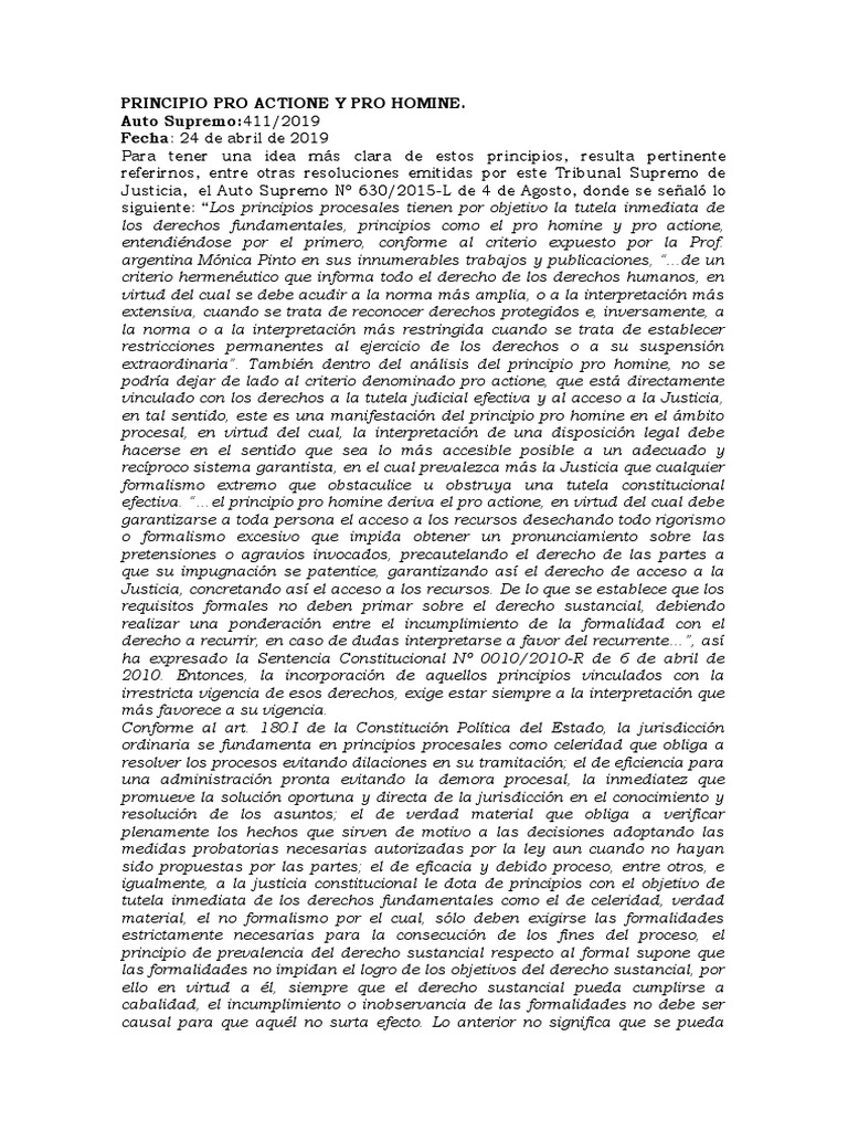 Principio Pro Actione y Pro Homine. 2019a3 | PDF | Ley procesal ...