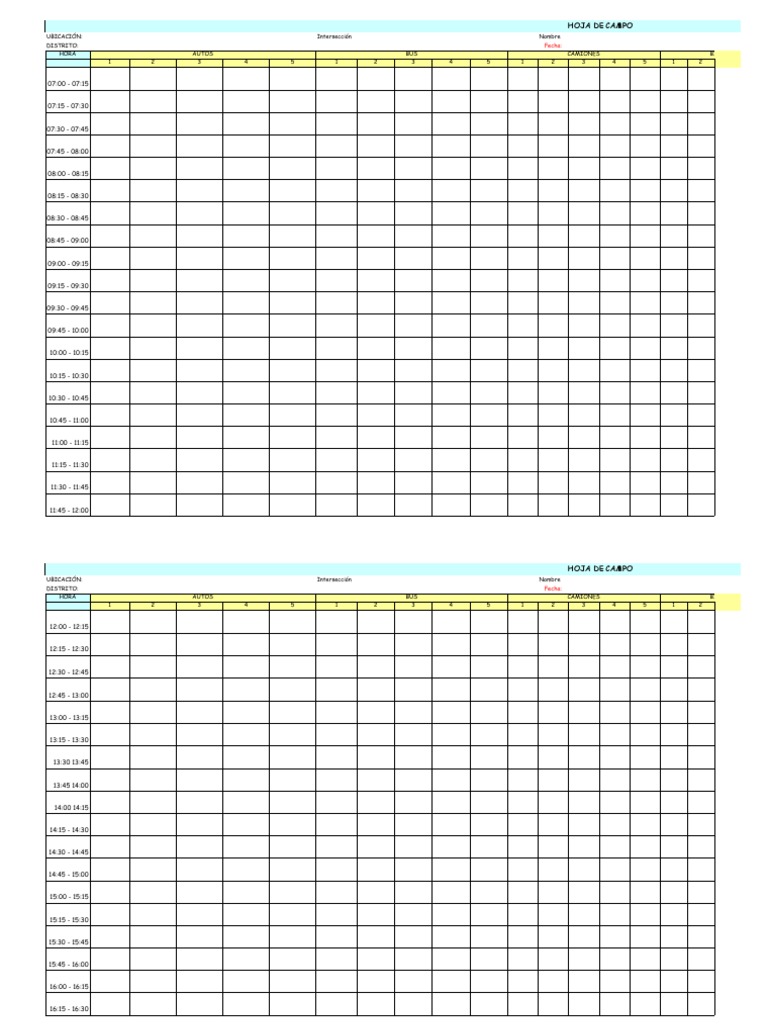 Formato de Aforo Manual | PDF