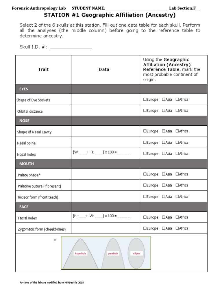 FRSC2030 2021 Forensic Anthropology LAB | PDF | Skull | Pelvis