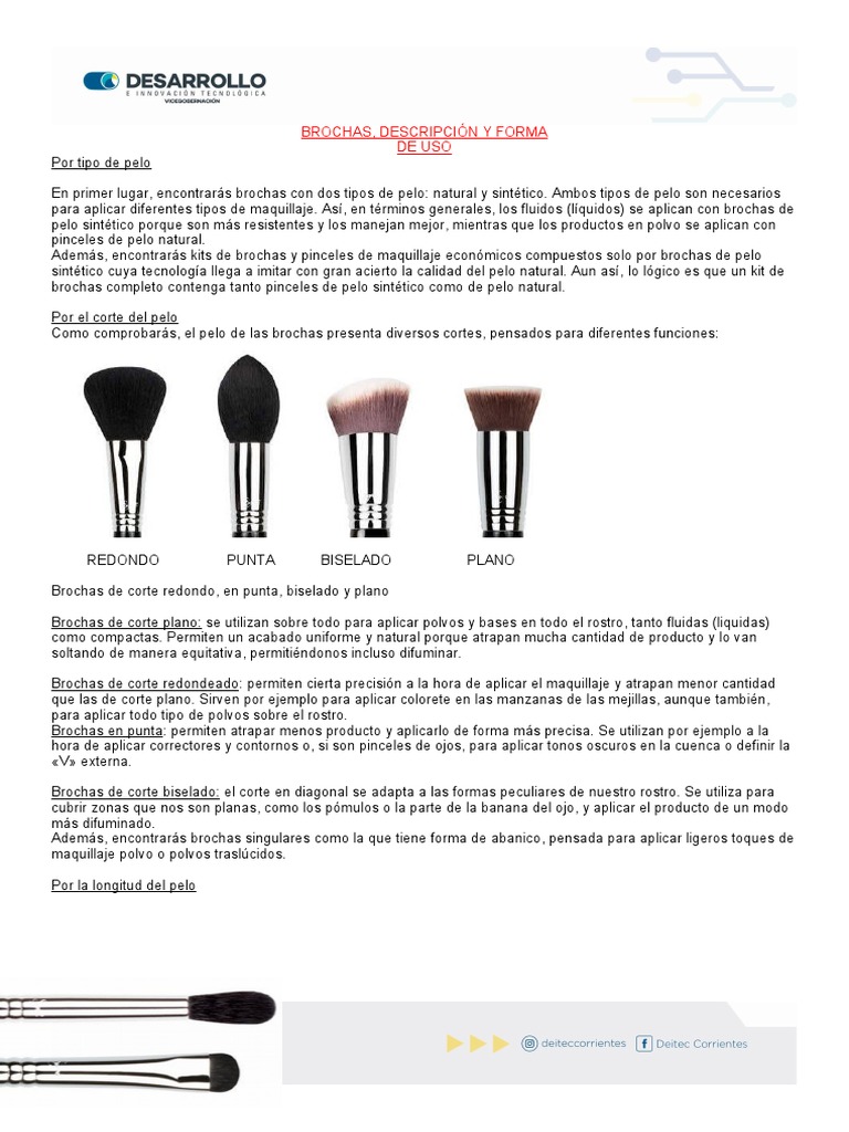Clase 4 - Tipos de Brocha | PDF | Cepillo | Productos cosméticos