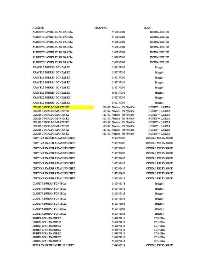 Customer Data List with Names, Phone Numbers, and Subscription Plans ...