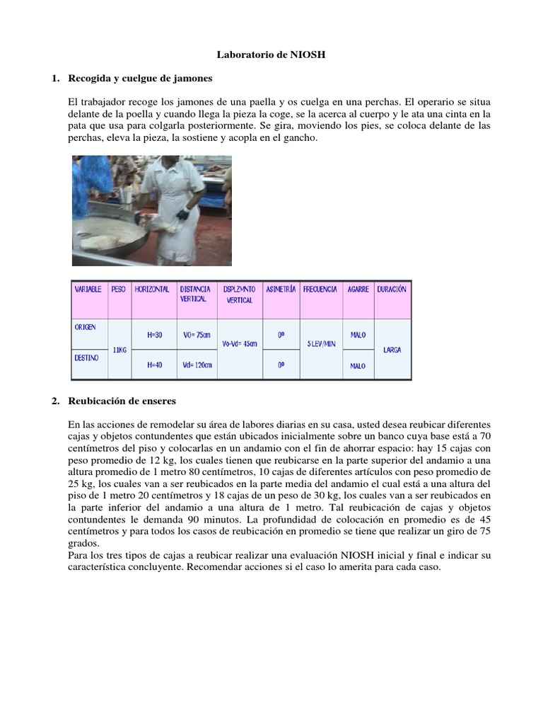 Laboratorio de NIOSH | PDF