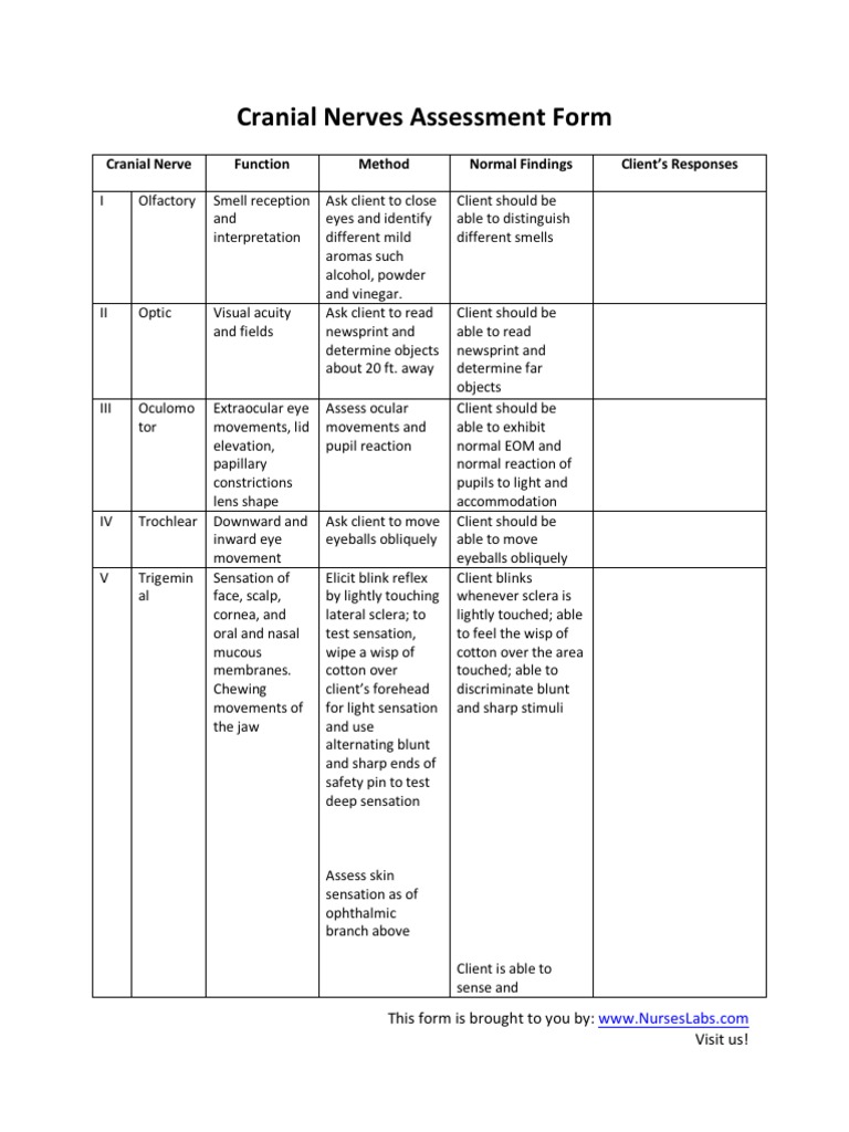 Cranial Nerves Assessment