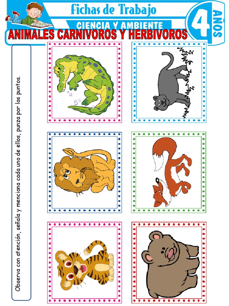 Animales Carnivoros y Herbivoros para Ninos de 4 Anos | PDF | Artes del ...