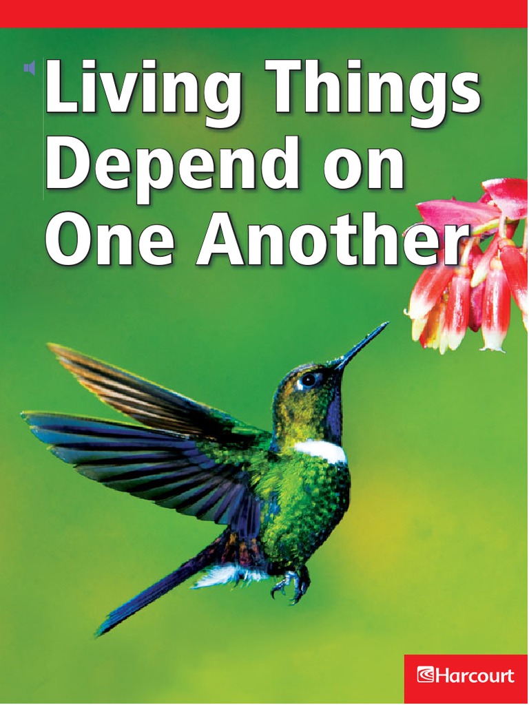 Living Things Depend On One Another | PDF | Predation | Food Web