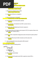 RNA and Protein Synthesis Problems KEY | PDF | Rna | Translation (Biology)