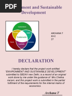 Environmental Pollution Project | PDF | Natural Environment | Sound