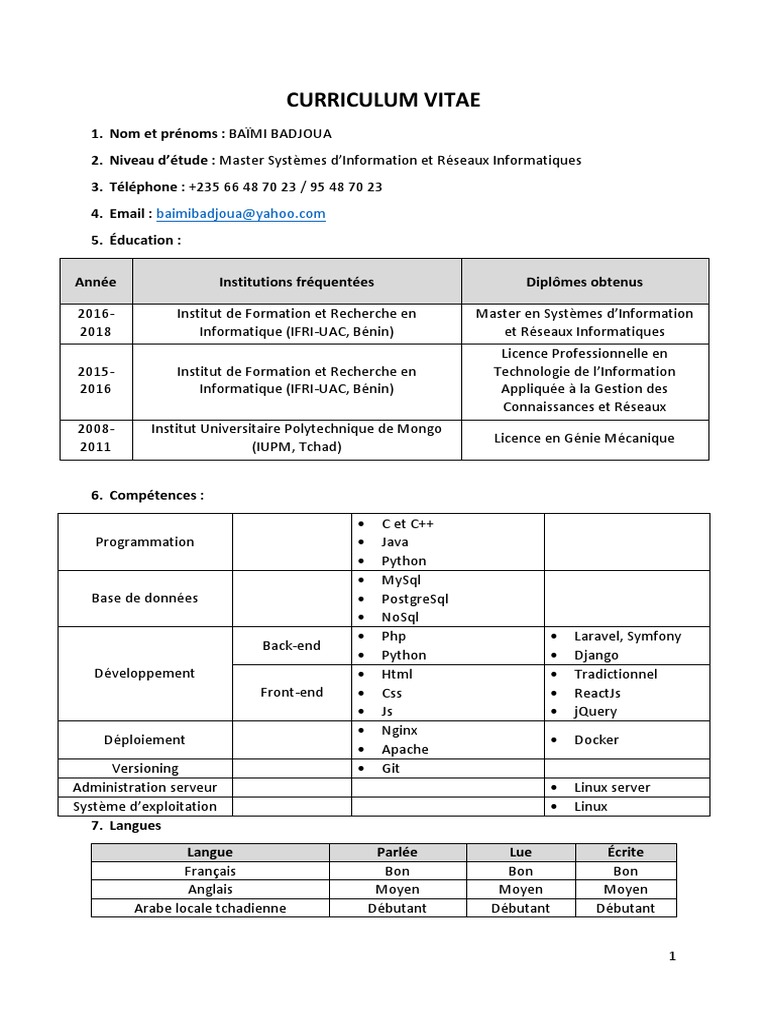 Curriculum Vitae BaimiBadjoua | PDF | Application | Informatique