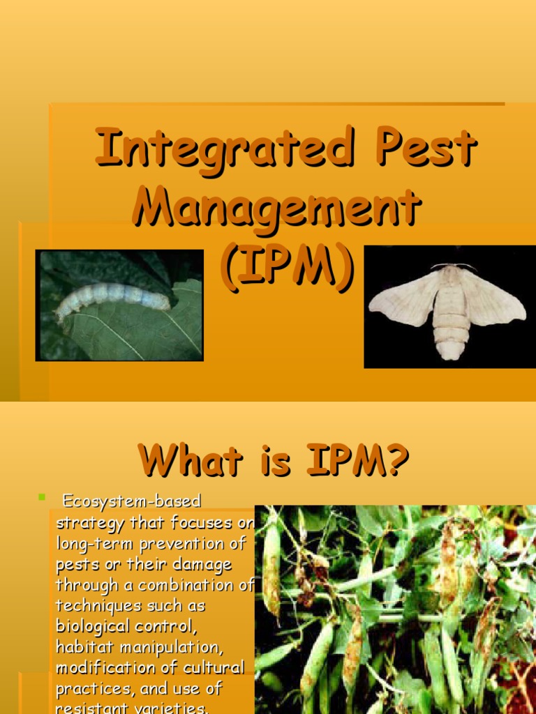 Integrated Pest Management (IPM) | PDF | Pest Control | Pesticide