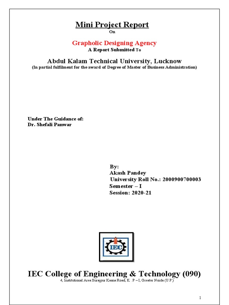 My Mini Project Report Modified 3.0 | PDF | Balance Sheet | Expense